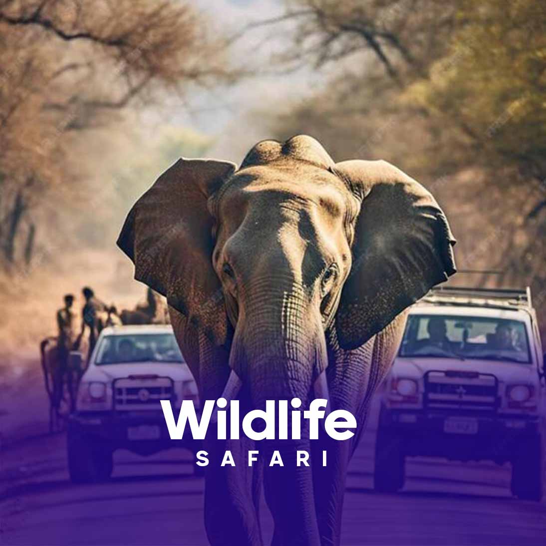 Trip Point Tours – …your journey begins here.